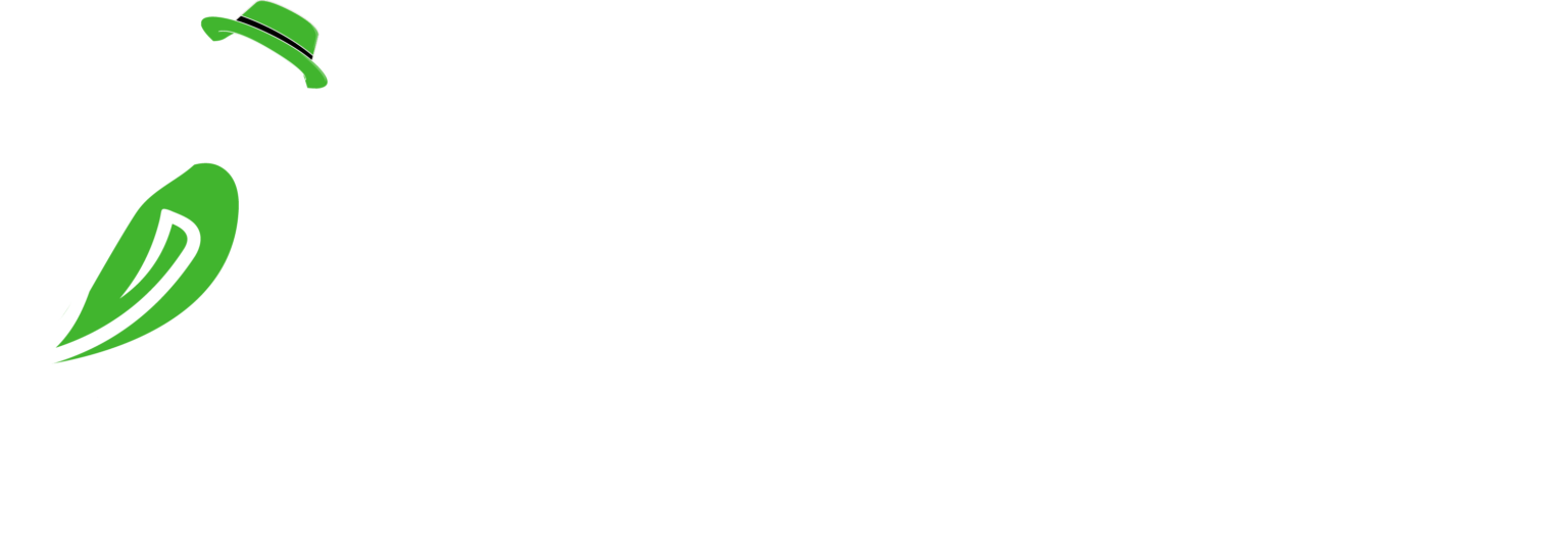 14 Partridge vs Quail Differences That Will Help You Identify Them ...